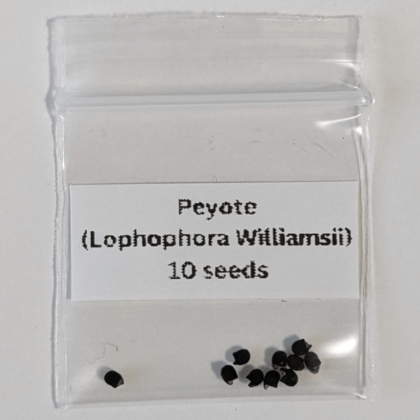 Peyote Cactus Seeds – Sacred Buttons