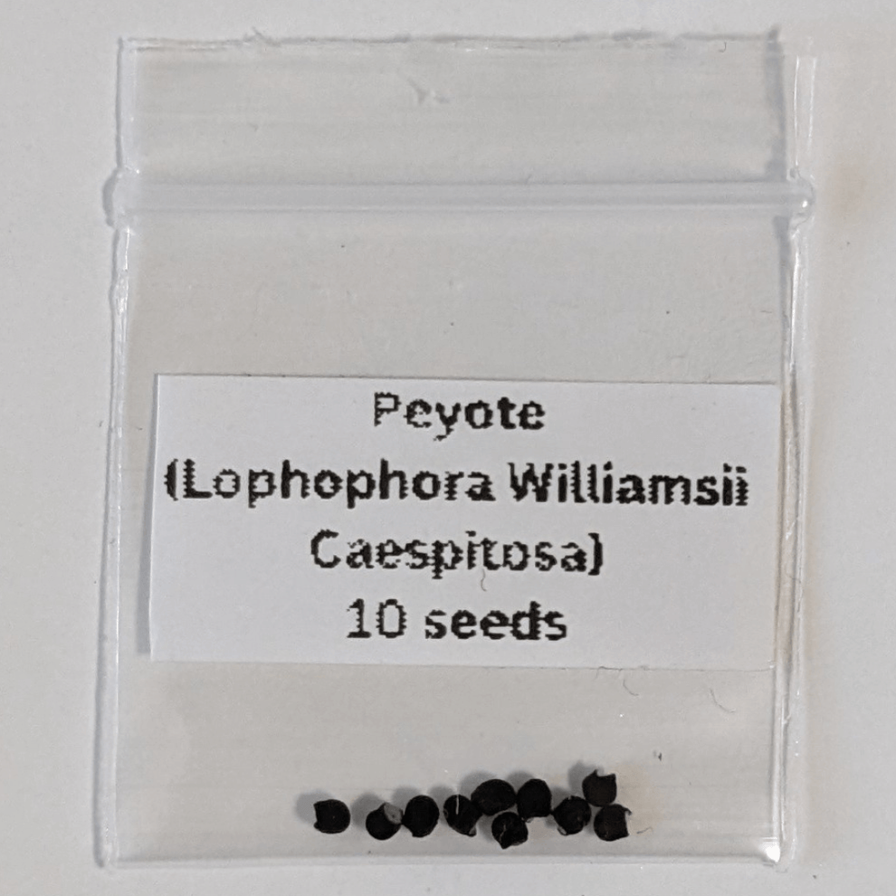 Clustering Peyote Seeds – Sacred Buttons